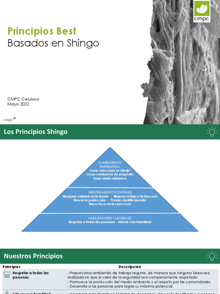 Best Principios Shingo v1 | PDF | Toma de decisiones | Ciencia cognitiva