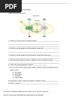 Cell City Worksheet Answer Key | PDF | Cell (Biology) | Cytoplasm