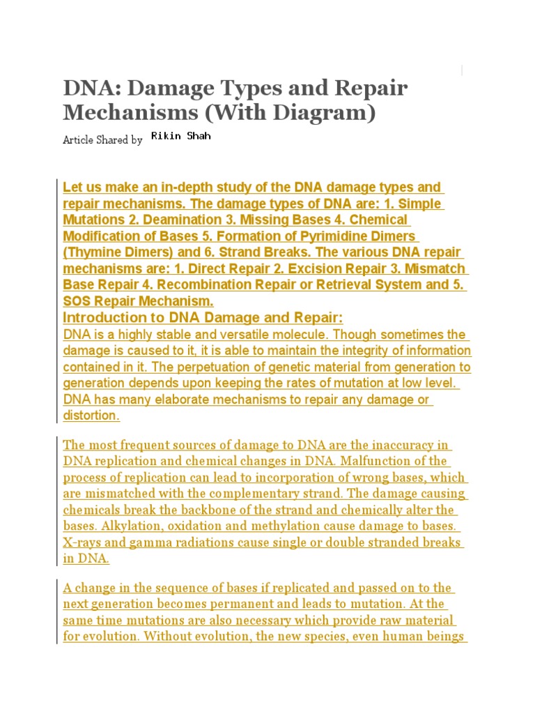 DNA: Damage Types and Repair Mechanisms (With Diagram) | PDF | Dna ...
