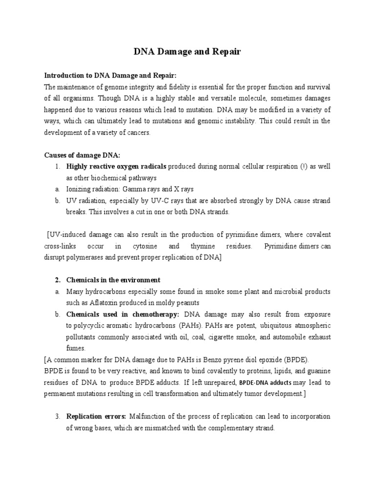 DNA Damage and Repair | PDF | Dna | Dna Repair