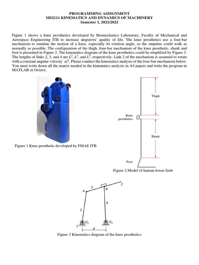 Computational Kinematics Assignment 2021 | PDF | Kinematics | Prosthesis