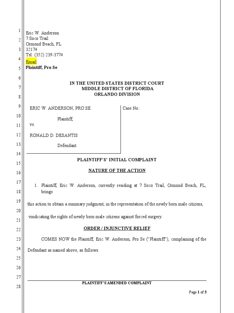 Good Looking Example | PDF | Complaint | Pro Se Legal Representation In ...