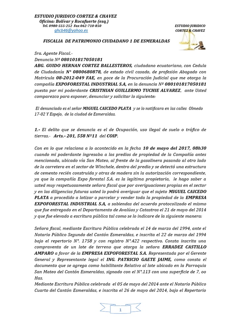 Denuncia Fiscalia Winchele | PDF | Derecho Civil (Common Law) | Ley común