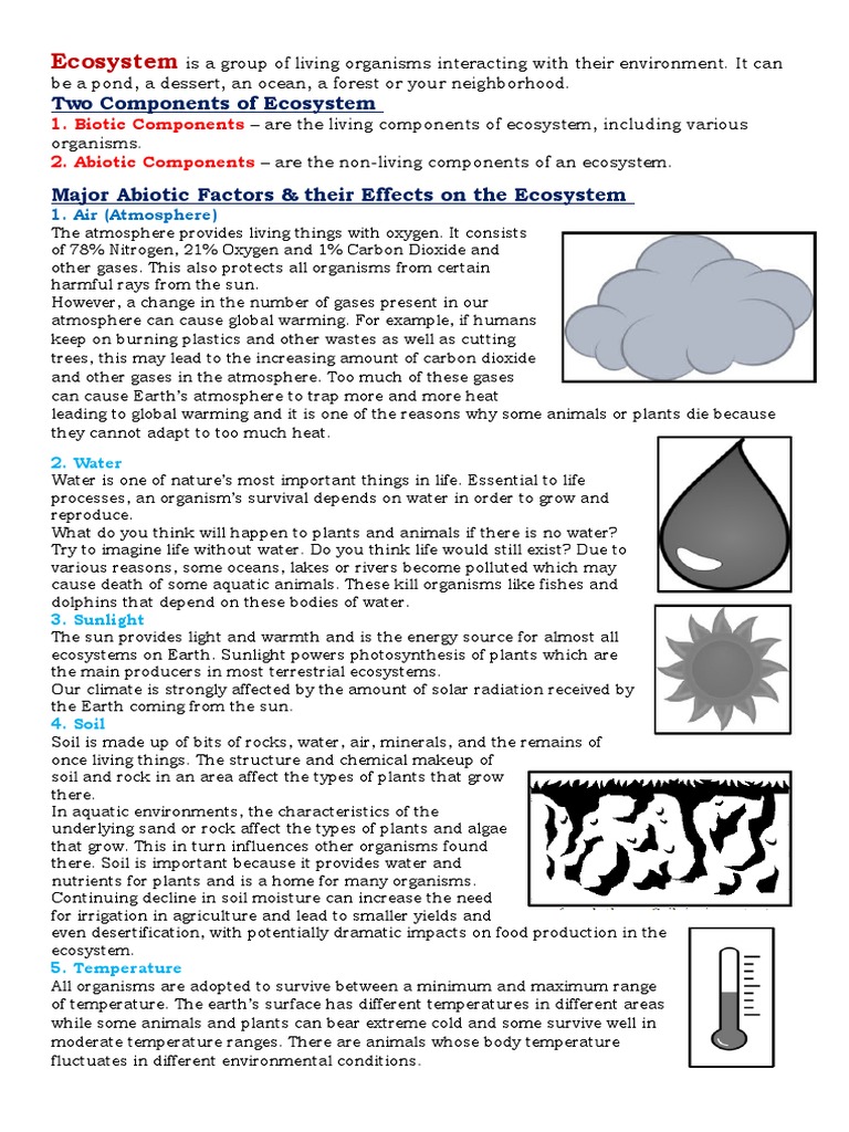 Ecosystem Is A Group of Living Organisms Interacting With Their Environment | Download Free PDF ...