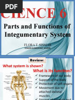Science 6 - Q2 - L2 - Parts and Functions of The Integumentary System ...