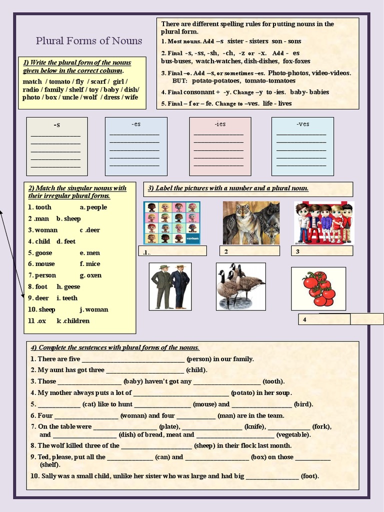 Plural Forms of Nouns Grammar Drills Grammar Guides Oneonone Activities ...