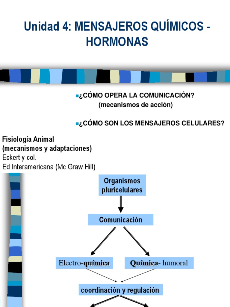 Mensaj Quim - Hormonas 2020b | PDF | Receptor (Bioquímica) | Hormona