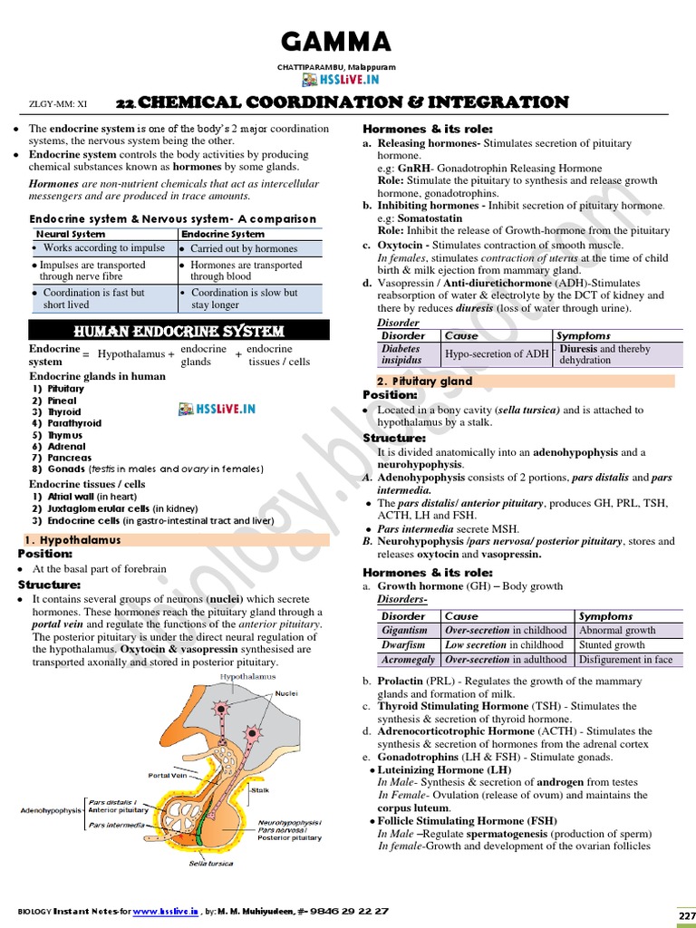 Hsslive Xi Zoology CH 22 | PDF | Endocrine System | Hormone