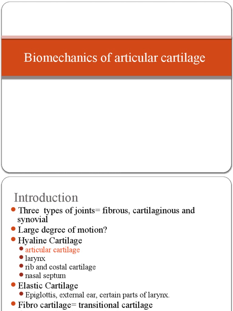 Biomechanics of Articular Cartilage | PDF | Cartilage | Extracellular Matrix