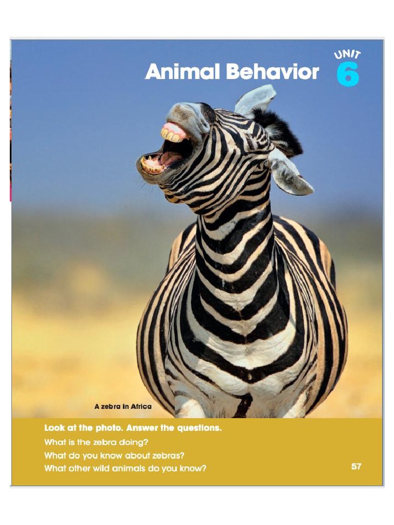 Nat Geo Look 3 Unit 6 PDF | PDF