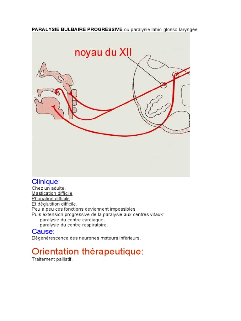Paralysie Bulbaire Progressive | PDF