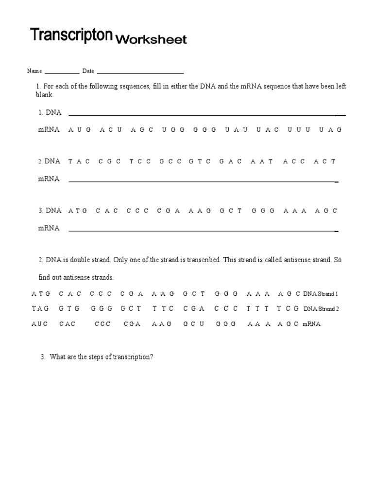 Transcription Worksheet Biology Replication, Transcription, And