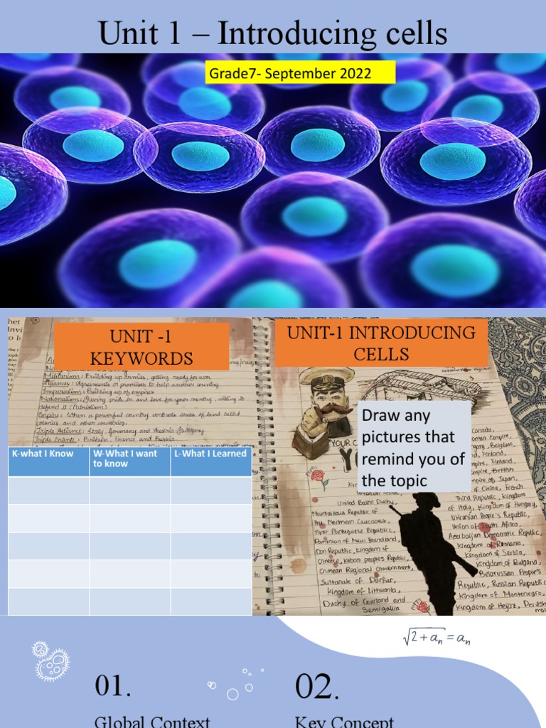 U-1 Introducing Cells-1 | PDF | Cell (Biology) | Endoplasmic Reticulum