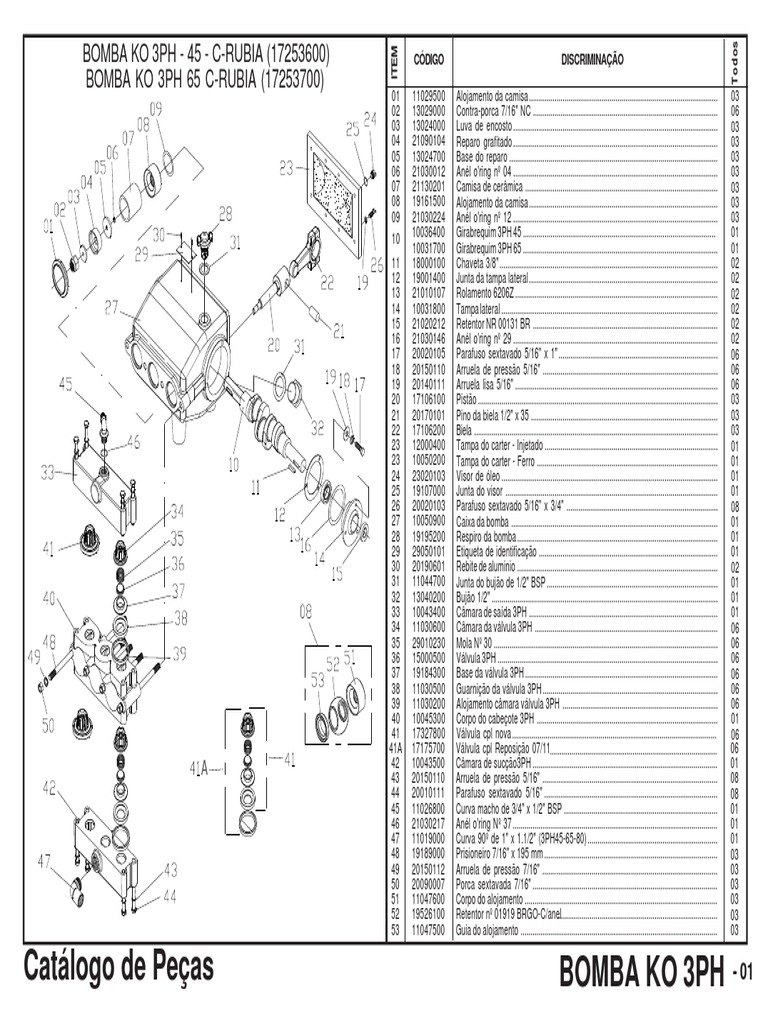 Bomba Ko 3ph Vazoes 45 65 80 e 100 Lmin MRHJ | PDF | Tecnologia de ...