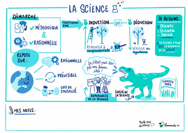 1 Science A4 | PDF