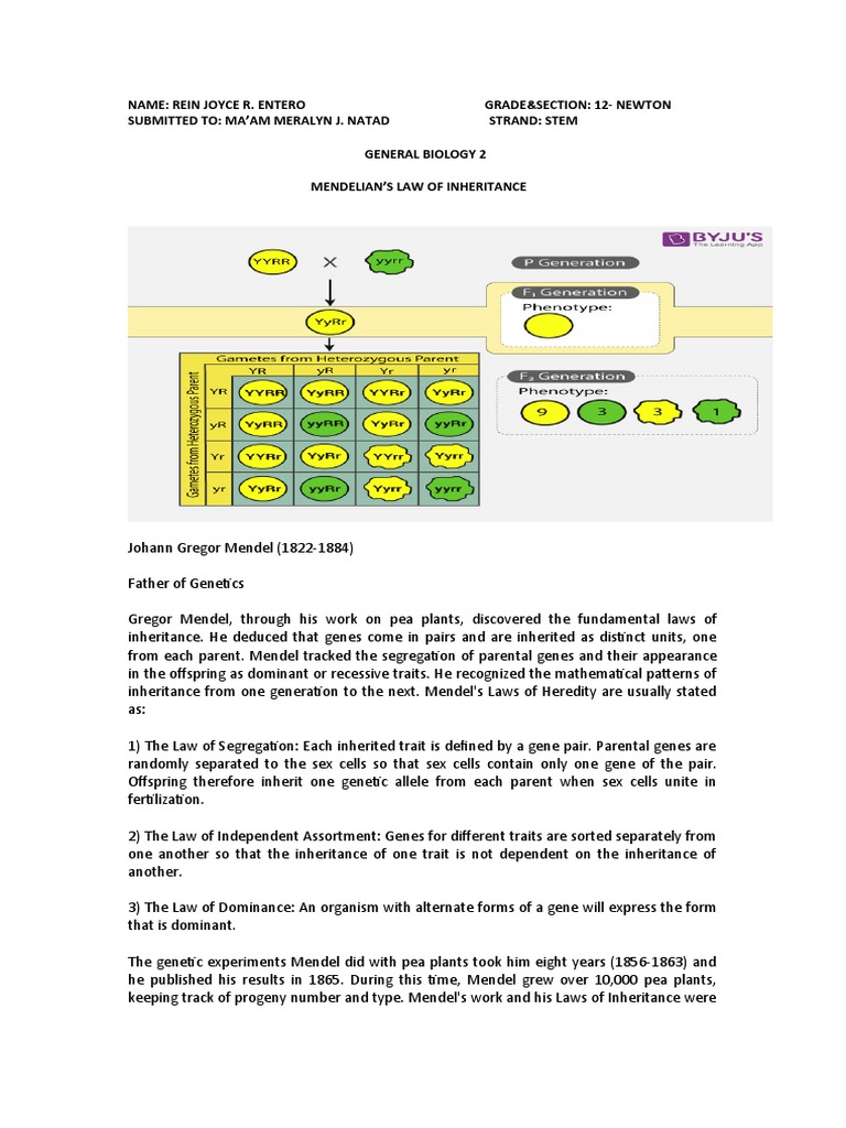 Mendelian's Law of Inheritance | PDF
