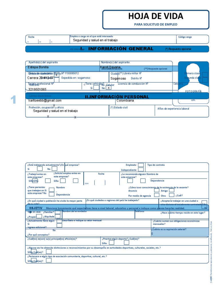Formato Hoja de Vida Minerva 1003 Wor | Descargar gratis PDF | Economias