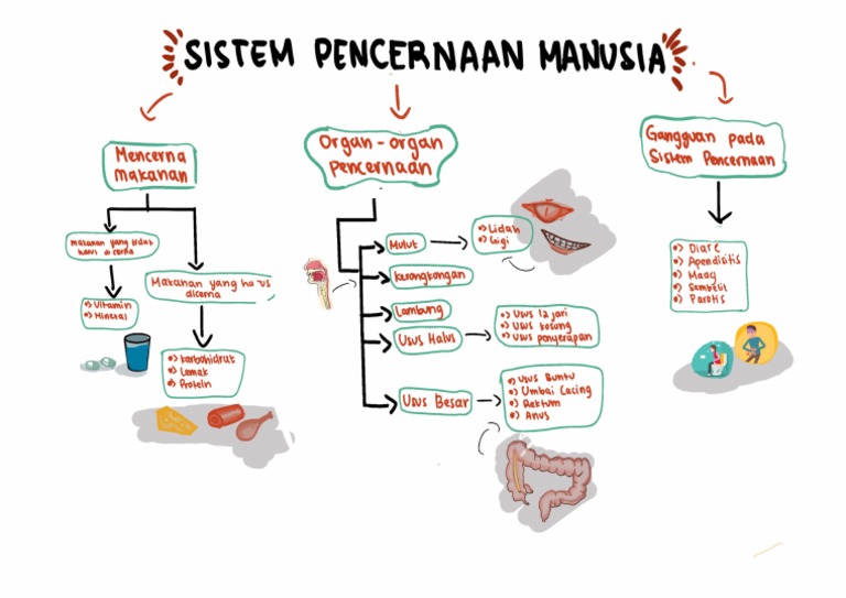 Biologi Mind Map | PDF