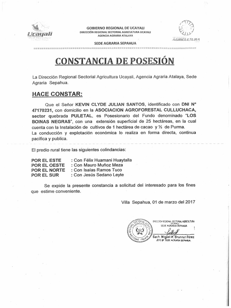 Constancia de Posesion | PDF