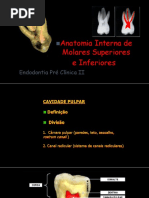 Anatomia do Dente 27: Molar Superior | PDF | Raiz | Dente