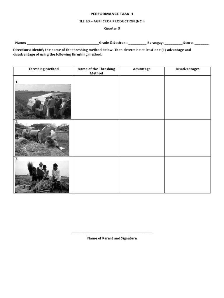 Performance Task 1 (TLE 10 - Agri Crop Production I) | PDF