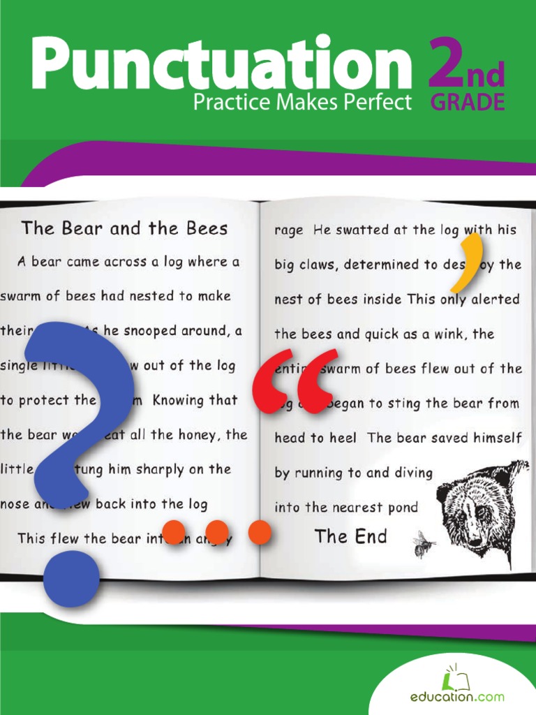 Punctuation Practice Perfect Workbook | PDF | Cakes