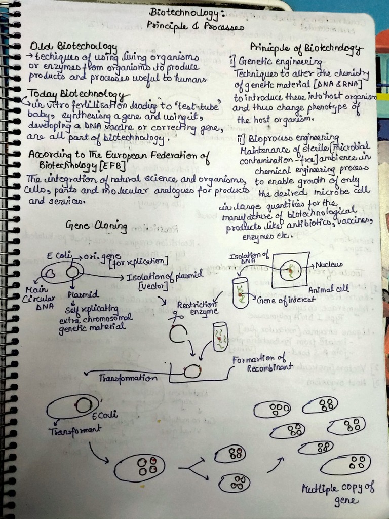 Principles of Biotechnology Overview | PDF | Chemistry | Biology