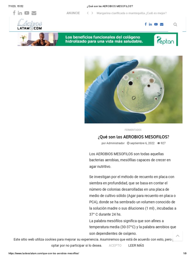 Qué Son Los AEROBIOS MESOFILOS | PDF | Alimentos | Microorganismo