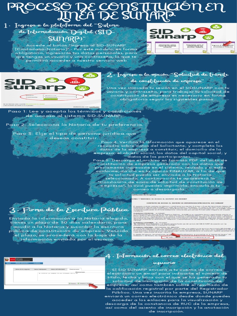 Infografia Proceso SUNARP | PDF | ciberespacio | Software