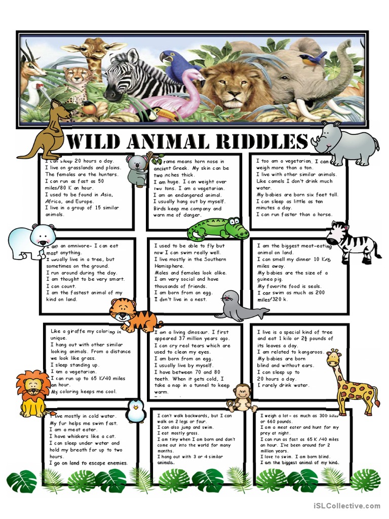 Wild Animal Riddles + KEY | PDF | Cats | Giraffe