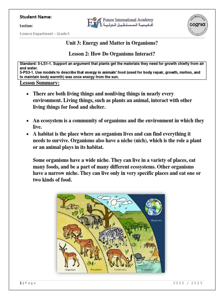 Unit3 Lesson 3 How Do Organisms Interact | PDF | Ecological Niche ...