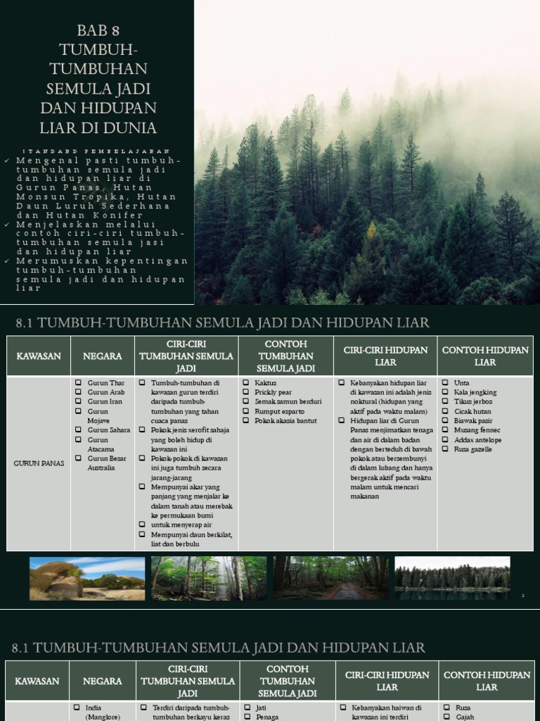 Nota Geo Bab 8 T3 | PDF