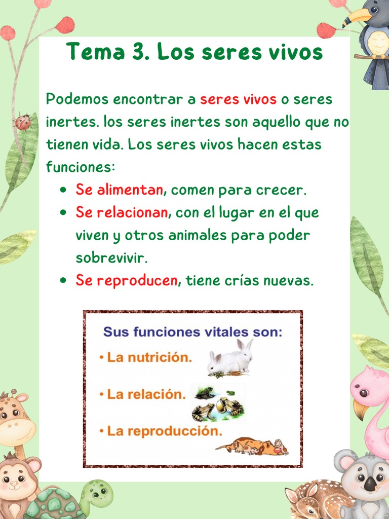 Tema 3. Los Seres Vivos | PDF