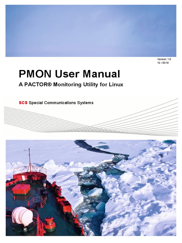 PMON Manual | PDF | Command Line Interface | Port (Computer Networking)
