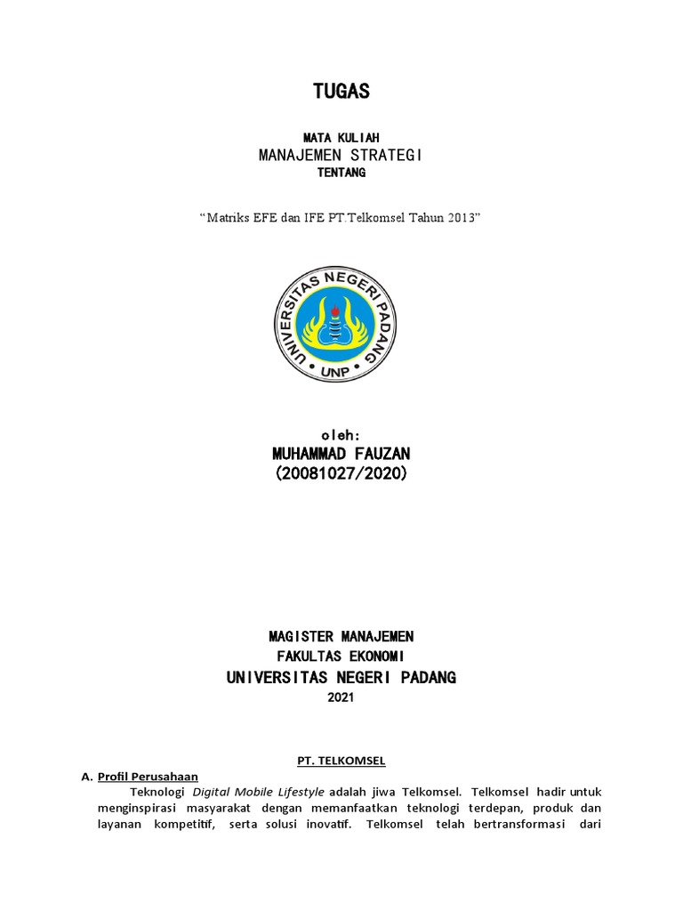Tugas Matriks EFE Dan IFE Telkomsel | PDF