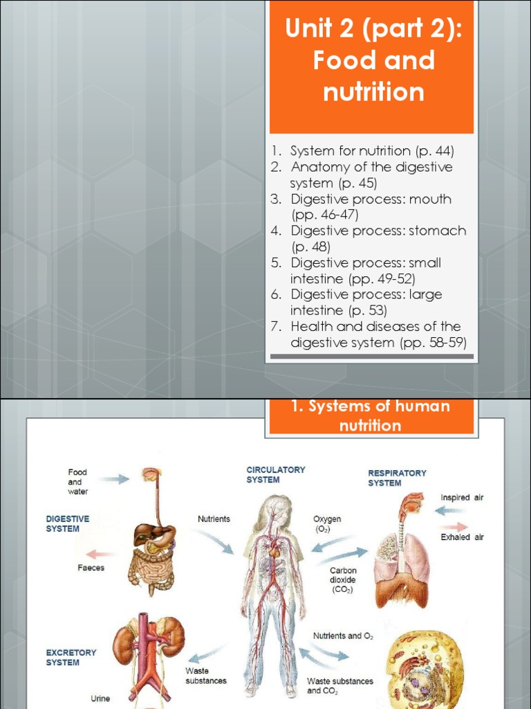 Unit 2 Part 2 Biology | PDF | Human Digestive System | Digestion