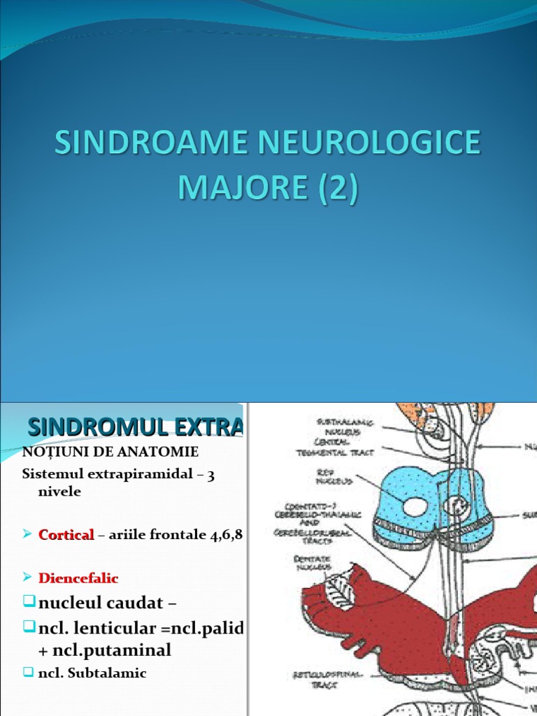 Curs 2 Sindroame Neurologice Majore 2 N | PDF