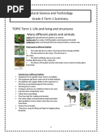 Grade 7 Term 4 Geographygr 7 Summary Pack | PDF