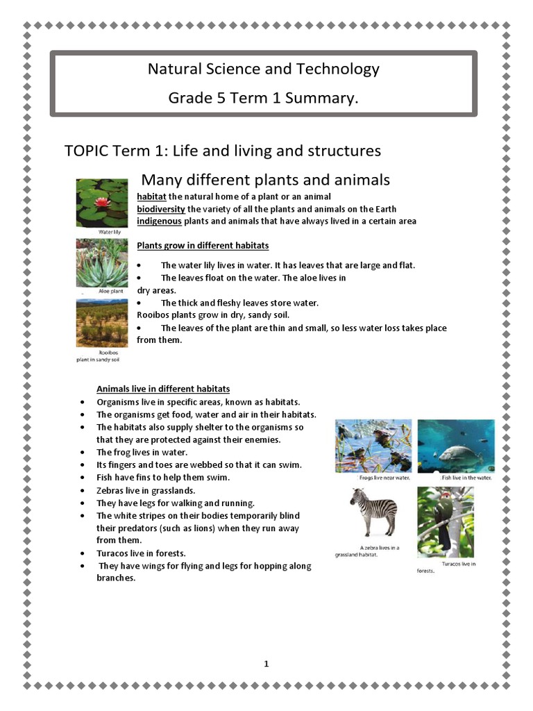 SUMMARY TERM 1 GR 5 Content | PDF | Skeleton | Zoology