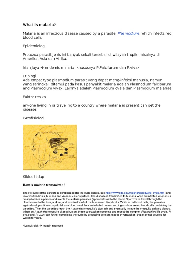 What Is Malaria | PDF