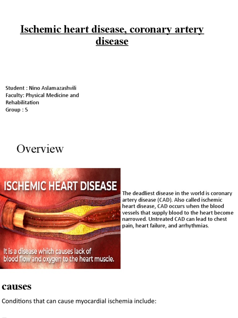 English Presentation | PDF