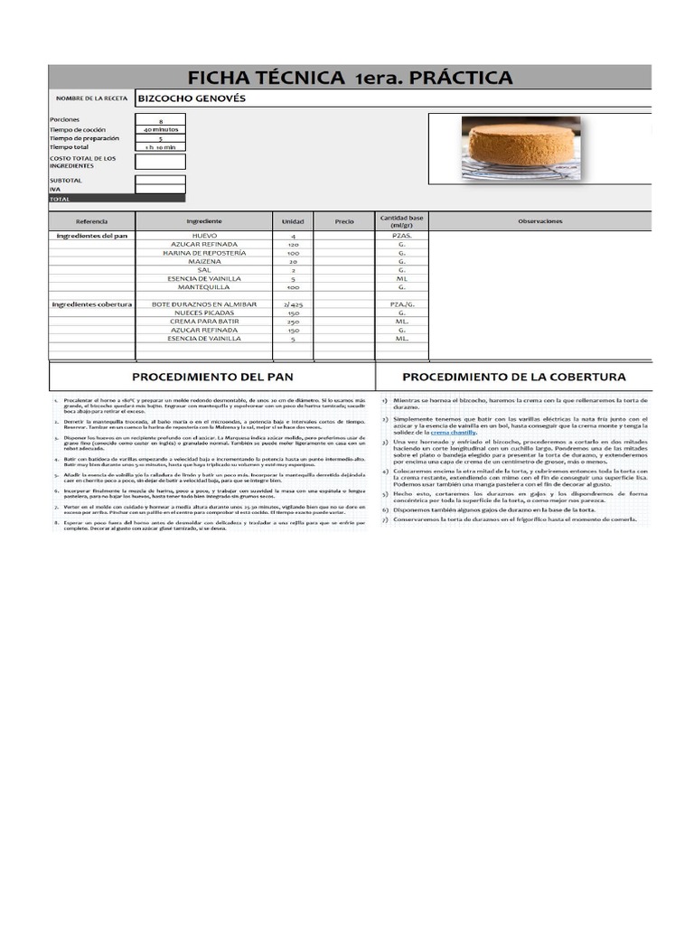 Ficha Tecnica Estandar | PDF