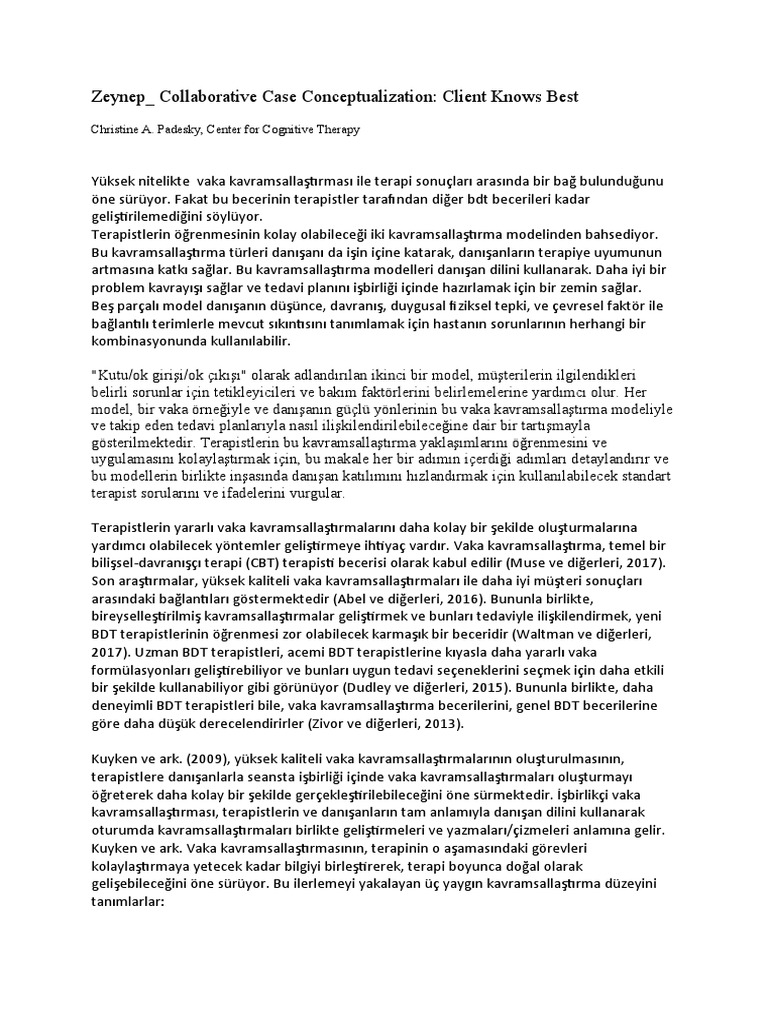 Zeynep - Collabrative Case Conseptualization | PDF