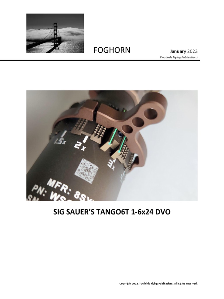 SIG SAUER'S TANGO6T 1-6x24 DVO | PDF | Telescopic Sight | Natural ...