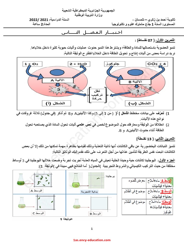 Sciences 1sci22 2trim9 | PDF