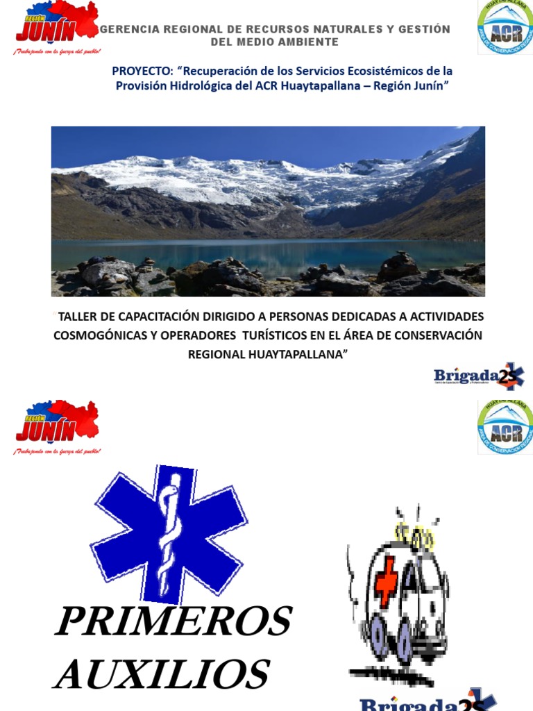 Curso Primeros Auxilios | PDF | Reanimación cardiopulmonar | Herida