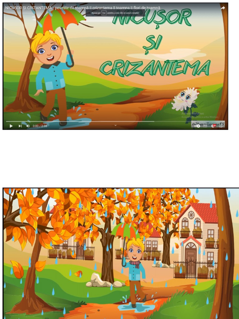 Nicusor Si Crizantema | PDF