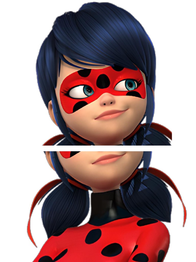 Ladybug | PDF