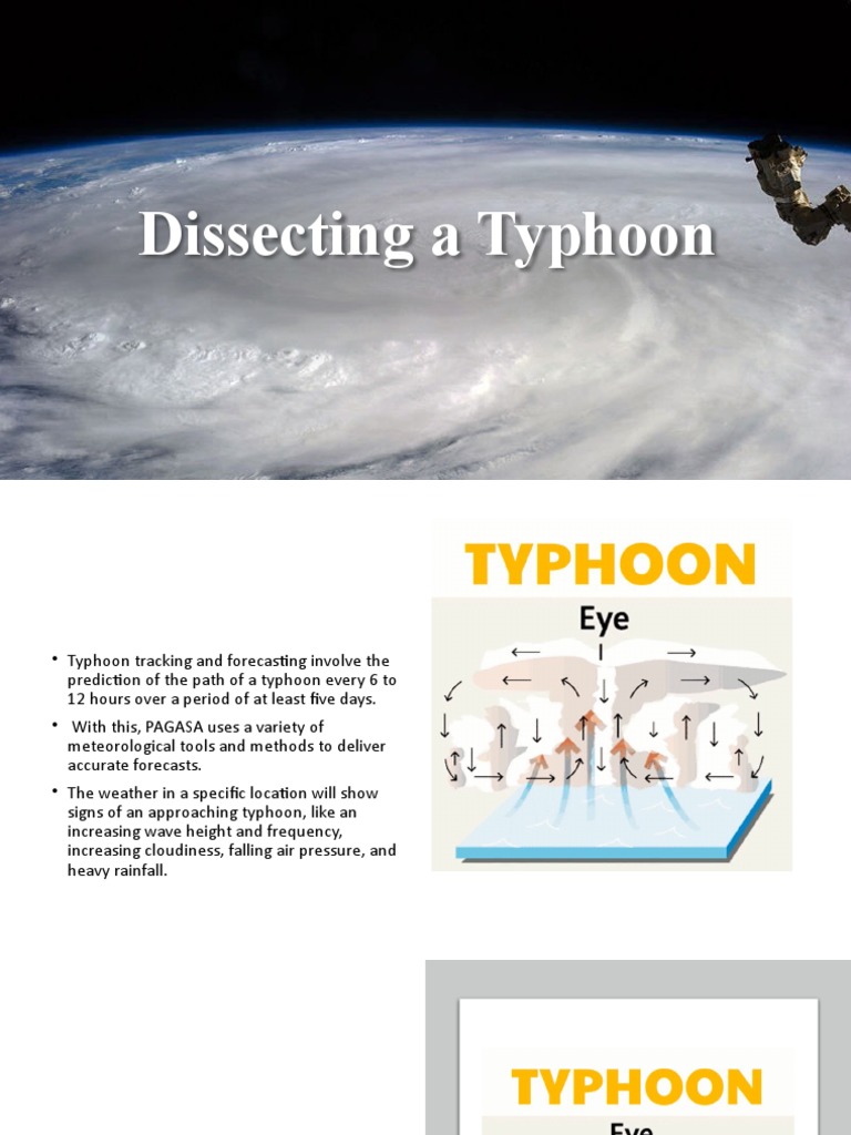 Dissecting A Typhoon | PDF | Home & Garden | Science & Mathematics