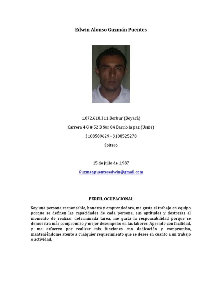 Hoja de Vida Edwin Guzman | PDF